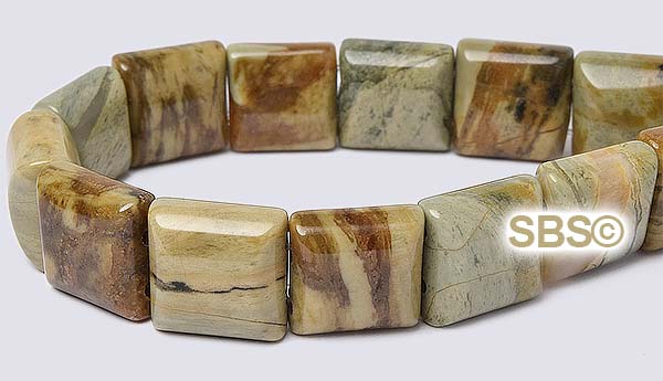 Silver Leaf Jasper 10x10 2-Hole Gemstone Beads (1 strand) | (High ...